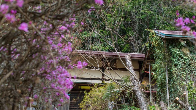 珍しいボロボロな和物廃墟で貸切撮影。テレビやMVロケで人気です。の写真7