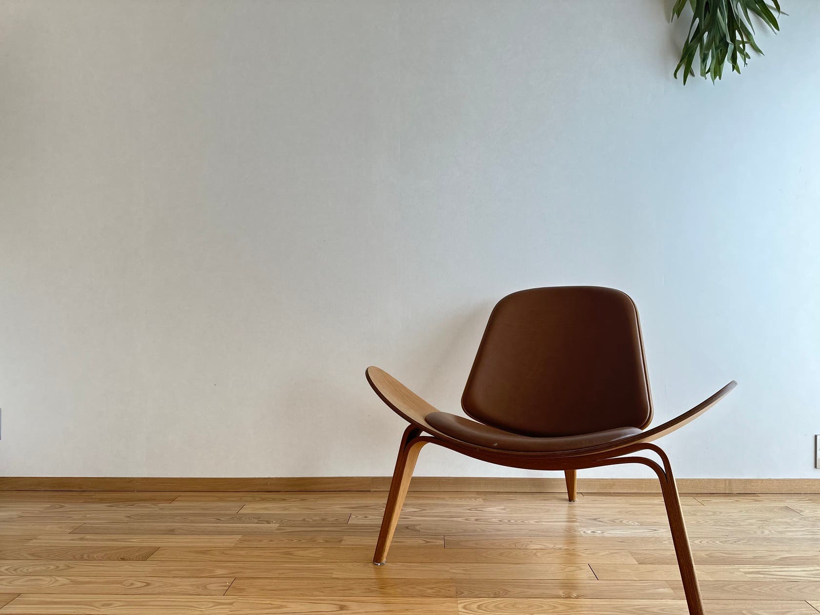 #パークGoburin【高円寺】総額50万円🎁💸☀️自然光☀️ 南からの採光 ~ポートレート/動画撮影などに~の写真7