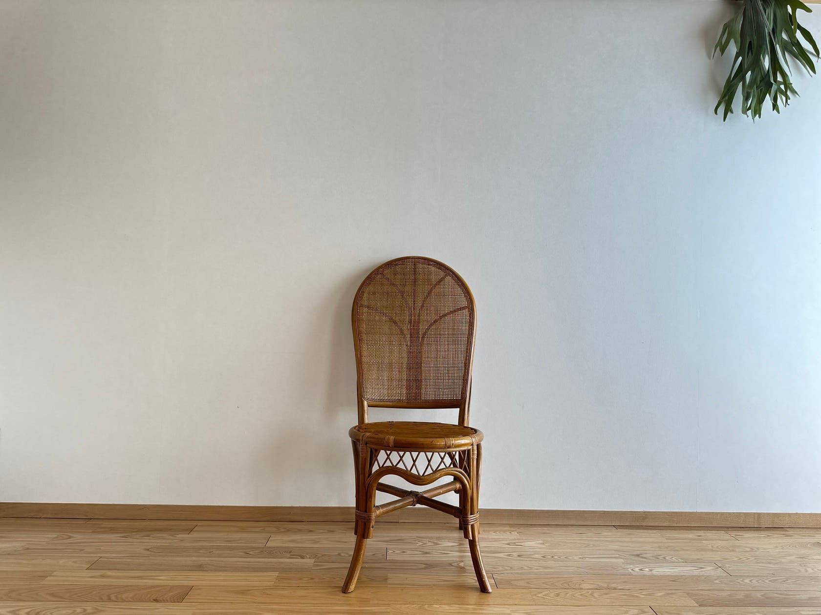 #パークGoburin【高円寺】総額50万円🎁💸☀️自然光☀️ 南からの採光 ~ポートレート/動画撮影などに~の写真12