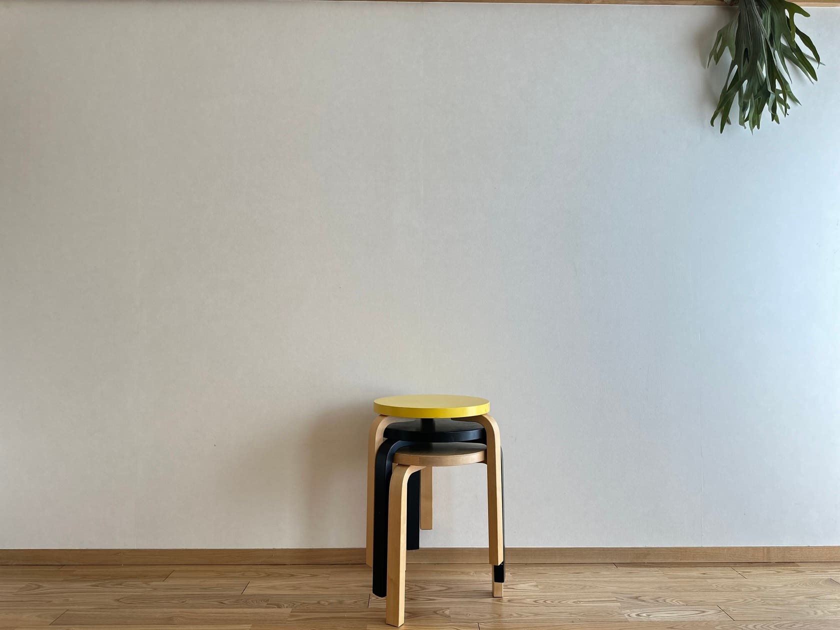 #パークGoburin【高円寺】総額50万円🎁💸☀️自然光☀️ 南からの採光 ~ポートレート/動画撮影などに~の写真13