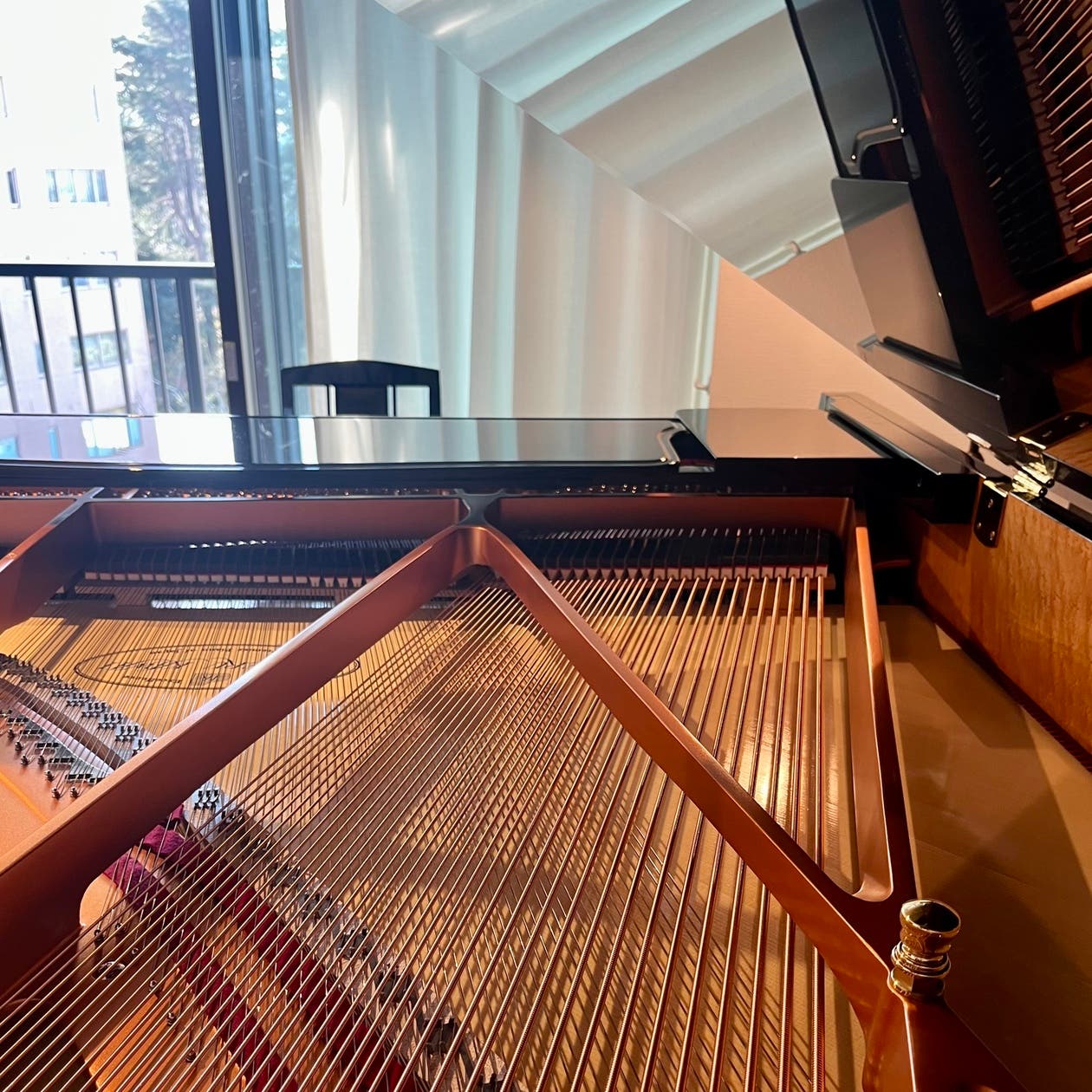 新宿御苑を眺望するプライベートピアノサロン　千駄ヶ谷駅より徒歩6分の写真10