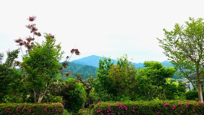 伊勢原大山ICから車で5分、厚木ICから15分。多目的スペース。女子会・誕生日会・ママ会・スチール/ 動画撮影などに!の写真20