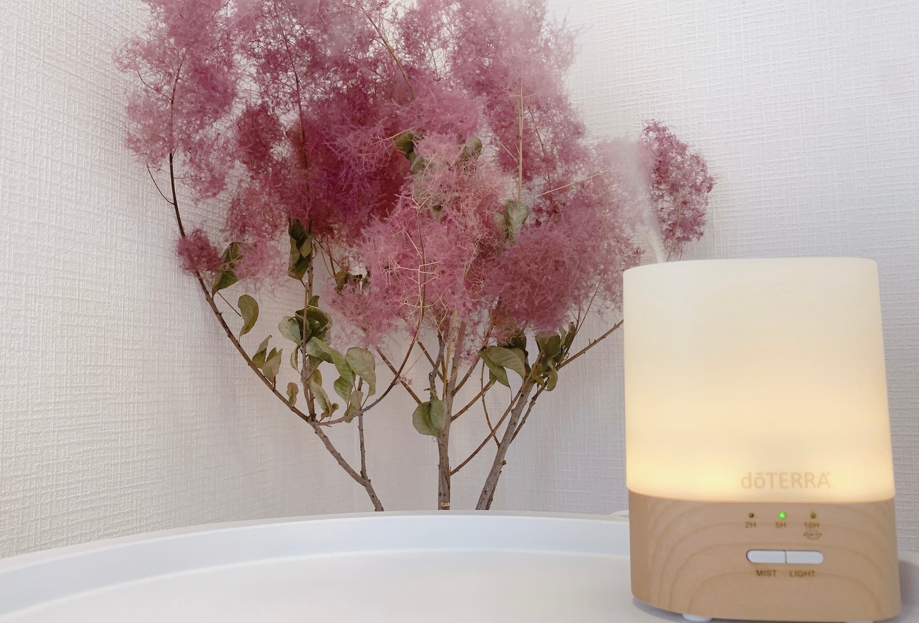 【⚠️『最安値』⚠️】インスタactnow_358から予約しないと適応になりません‼️の写真8