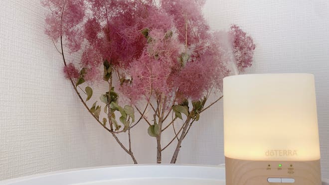 【⚠️『最安値』⚠️】インスタactnow_358から予約しないと適応になりません‼️の写真8