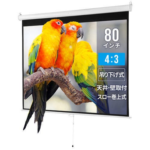 スクリーン（80インチ・天井吊り）の画像1
