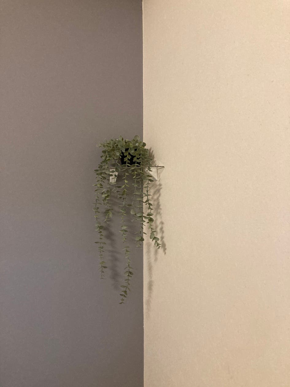 【神戸市東灘区】キッズスペース完備！完全個室で整体、エステ、カウンセリング、個人レッスンに最適✨の写真16