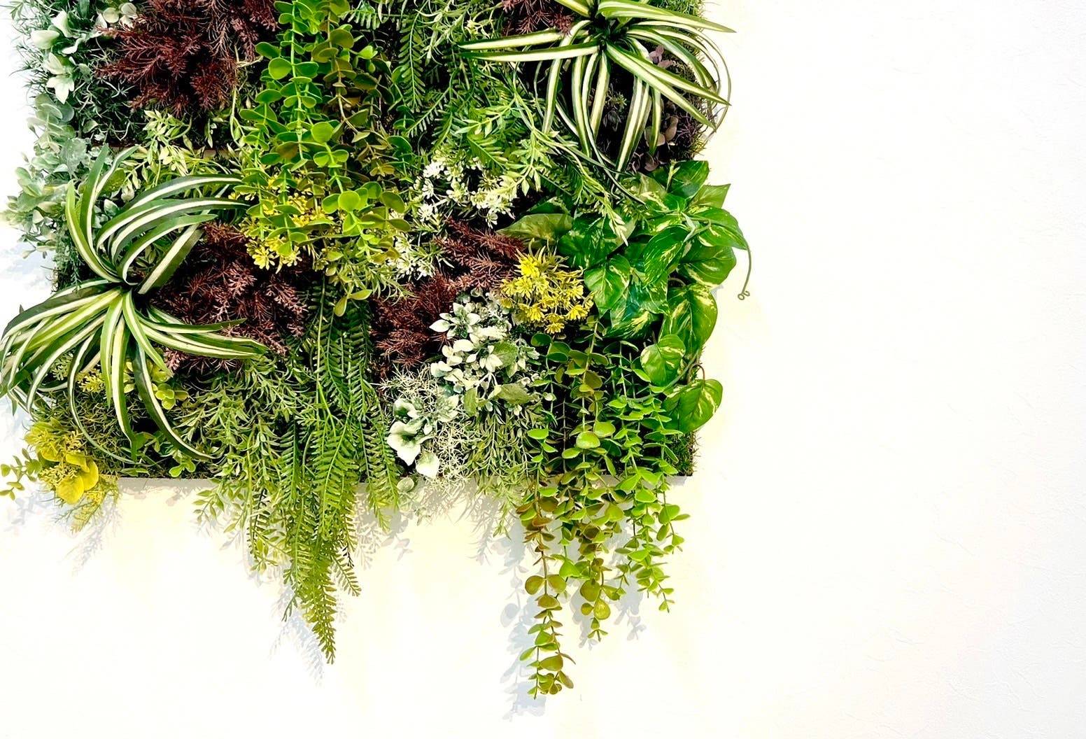 【御徒町駅4分】2面大型鏡計10m／天井の高い綺麗で広いスタジオでダンス・ポージング・ヨガ・演劇・撮影・楽器演奏可☆の写真8