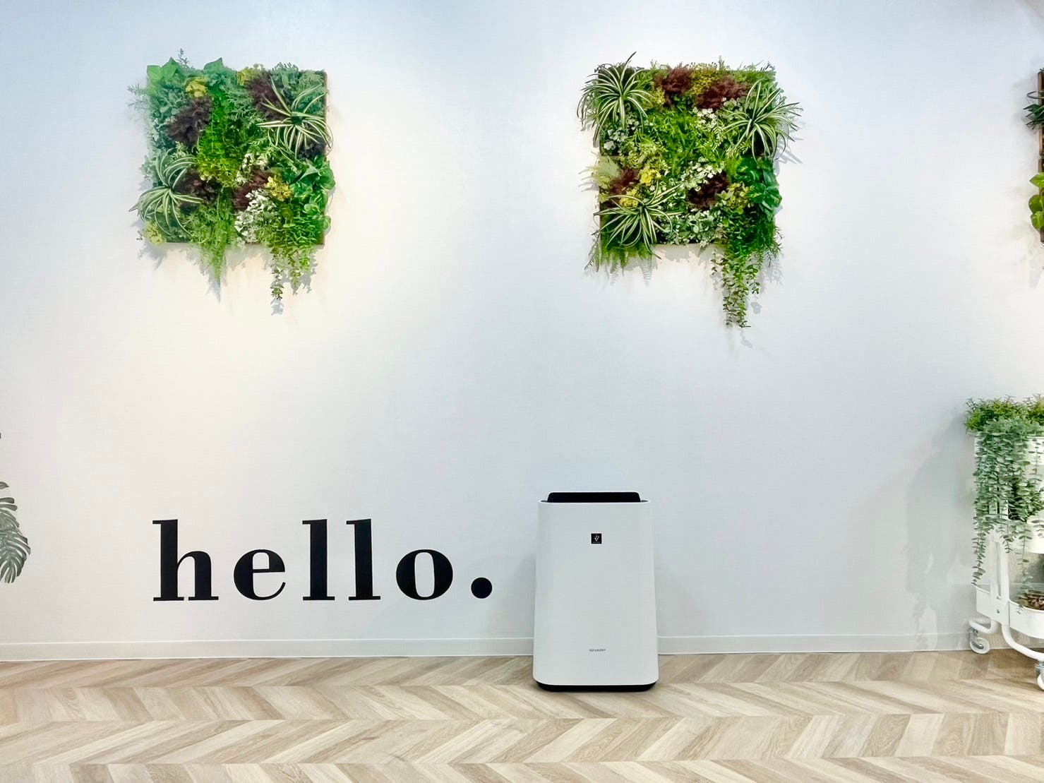 【御徒町駅4分】2面大型鏡計10m／天井の高い綺麗で広いスタジオでダンス・ポージング・ヨガ・演劇・撮影・楽器演奏可☆の写真14