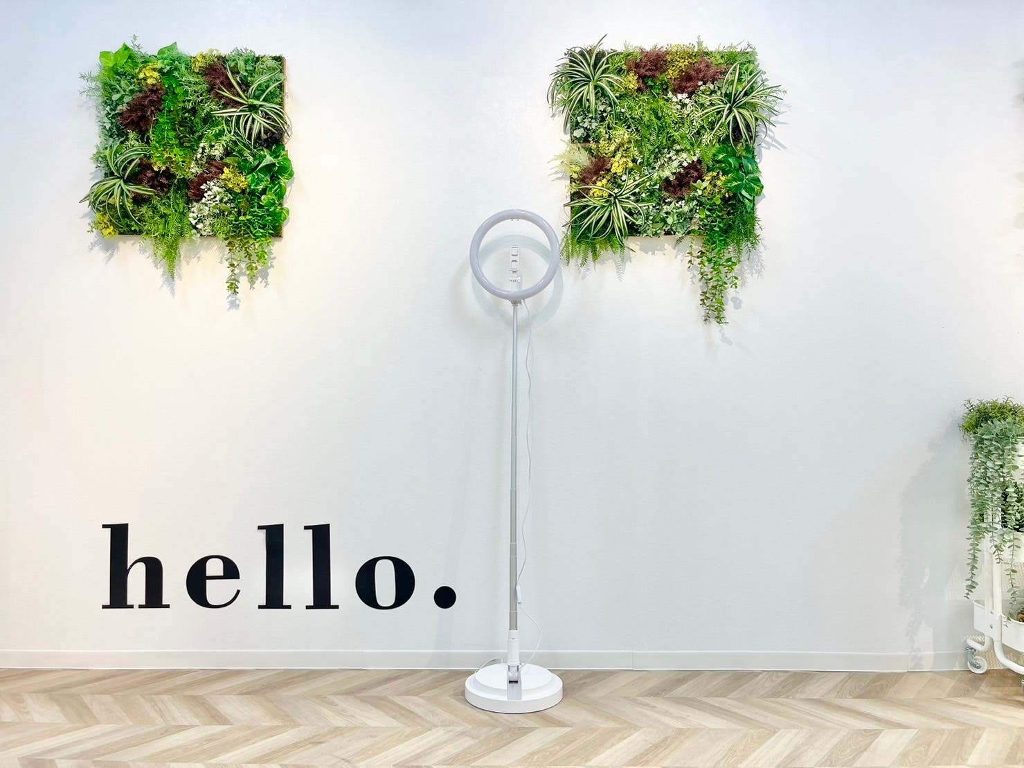 【御徒町駅4分】2面大型鏡計10m／天井の高い綺麗で広いスタジオでダンス・ポージング・ヨガ・演劇・撮影・楽器演奏可☆の写真15