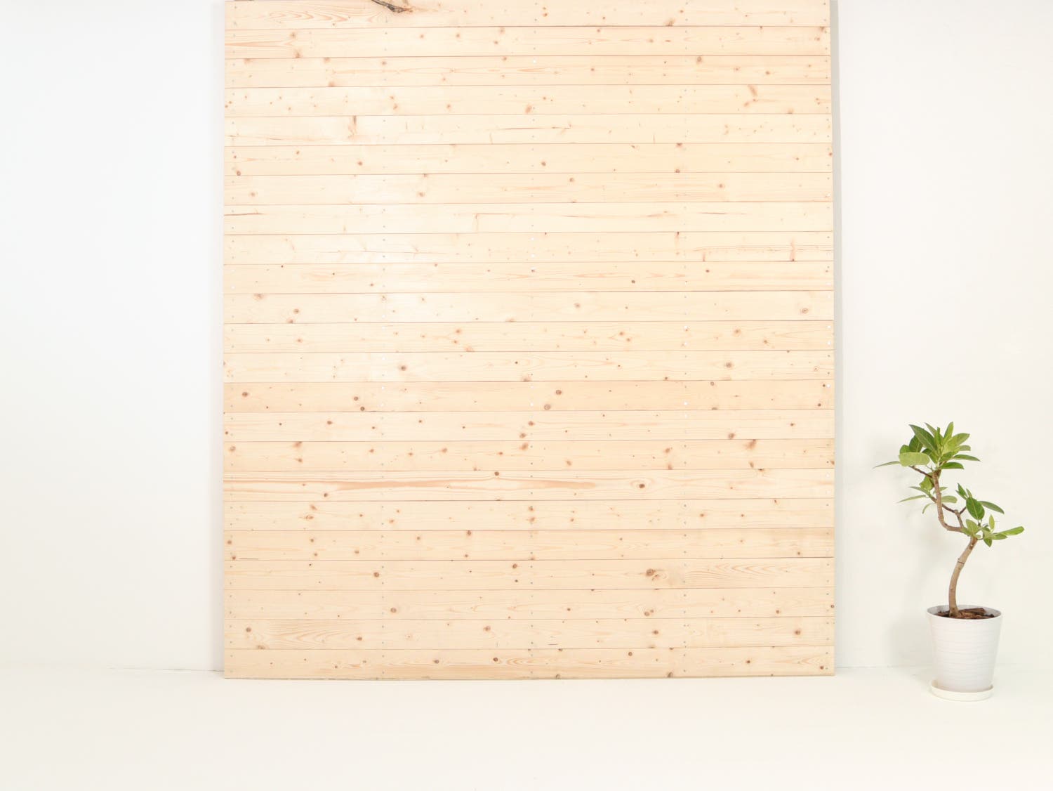 白ホリゾント撮影スタジオ。天井高2.7m。ストロボ・カラーLED・ソフトボックス・スタンドなど豊富な撮影機材。 の写真8