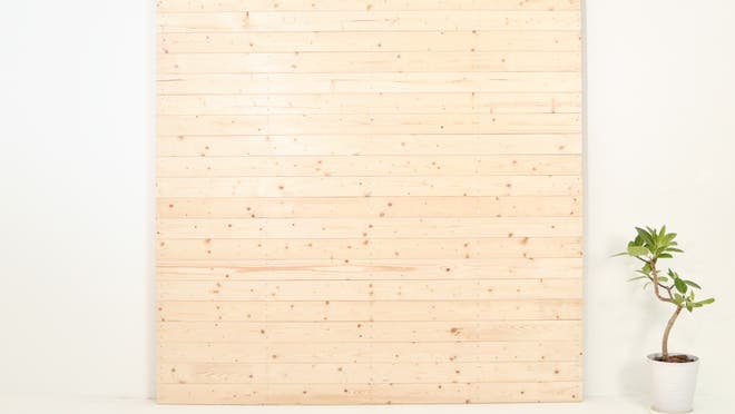 白ホリゾント撮影スタジオ。天井高2.7m。ストロボ・カラーLED・ソフトボックス・スタンドなど豊富な撮影機材。 の写真8