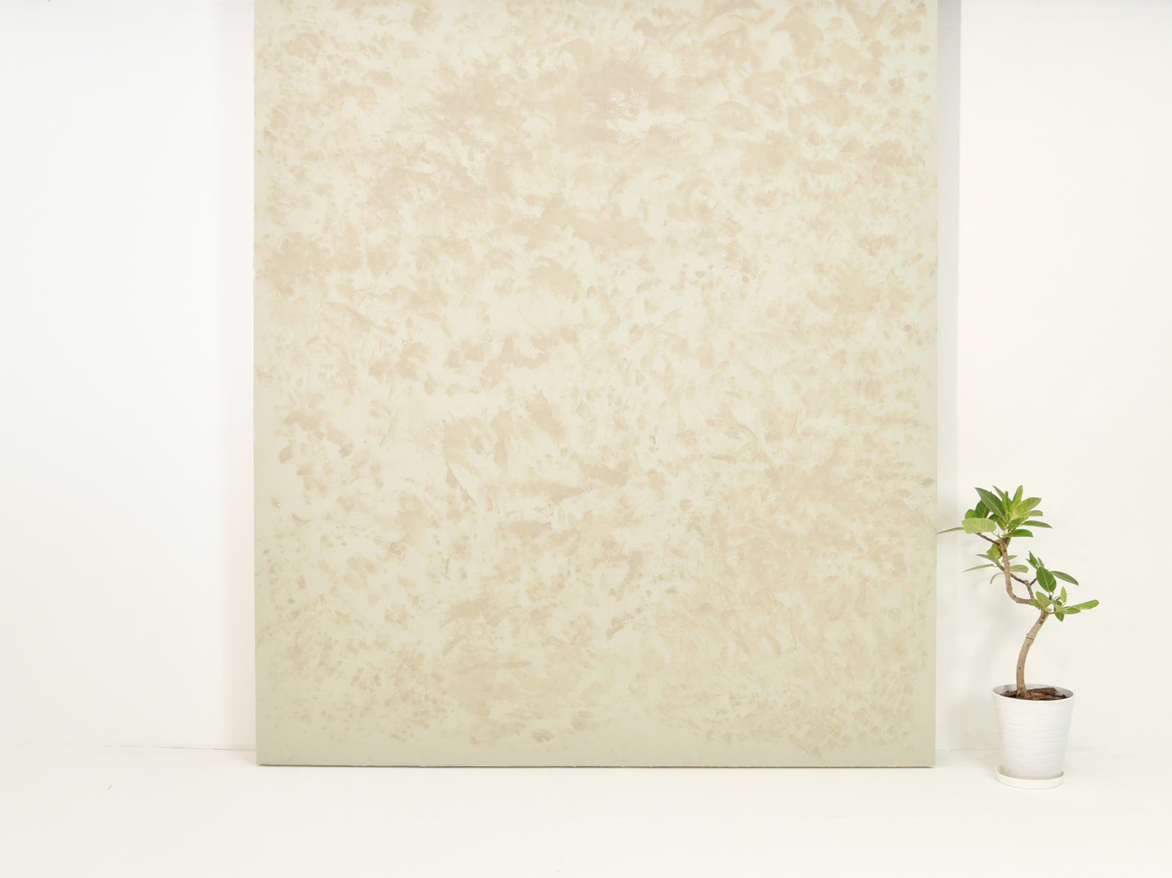 白ホリゾント撮影スタジオ。天井高2.7m。ストロボ・カラーLED・ソフトボックス・スタンドなど豊富な撮影機材。 の写真9