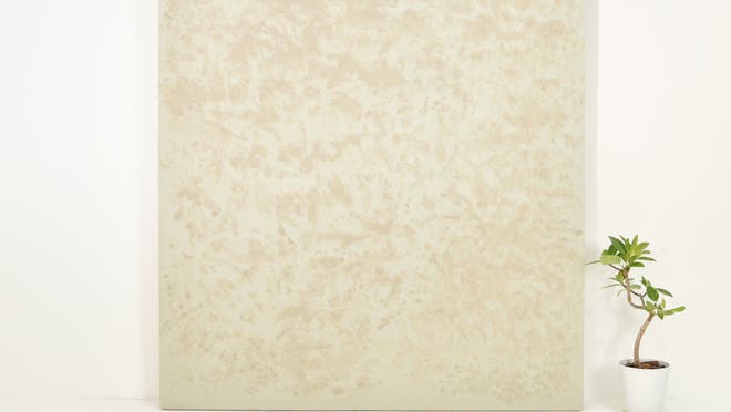 白ホリゾント撮影スタジオ。天井高2.7m。ストロボ・カラーLED・ソフトボックス・スタンドなど豊富な撮影機材。 の写真9