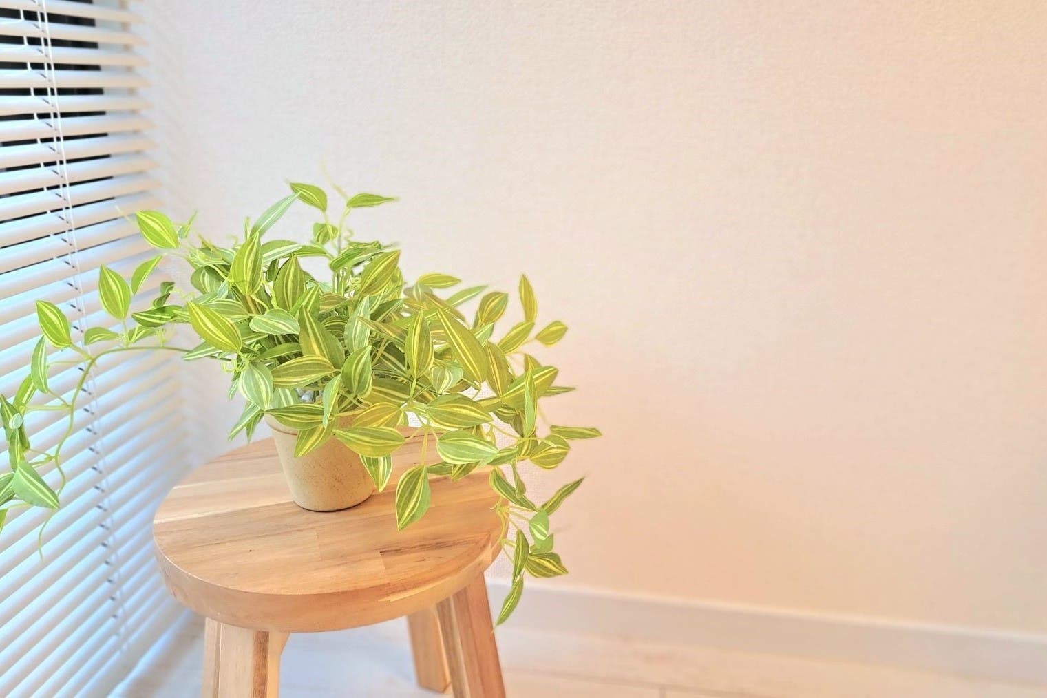 【乃木坂駅1分】完全貸切プライベート空間🌟エステ/整体/リラク/ヘッドなど🤩駅近と南青山の閑静な雰囲気を兼ね備えた好立地🔶の写真12