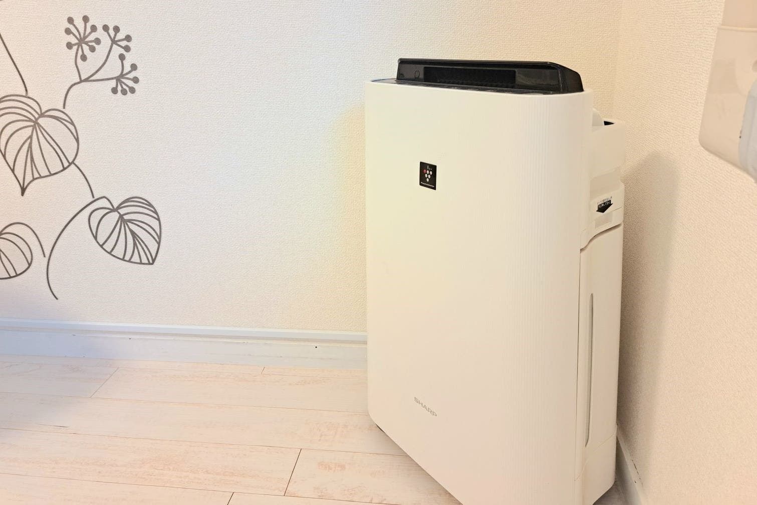 【乃木坂駅1分】完全貸切プライベート空間🌟エステ/整体/リラク/ヘッドなど🤩駅近と南青山の閑静な雰囲気を兼ね備えた好立地🔶の写真16