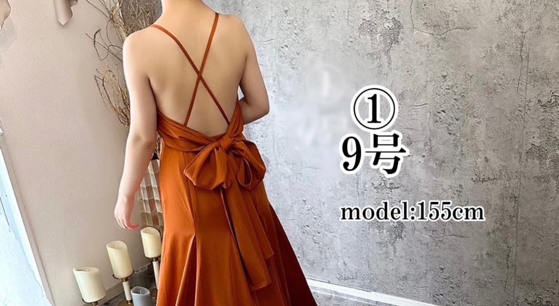 ドレスレンタルプランの画像1