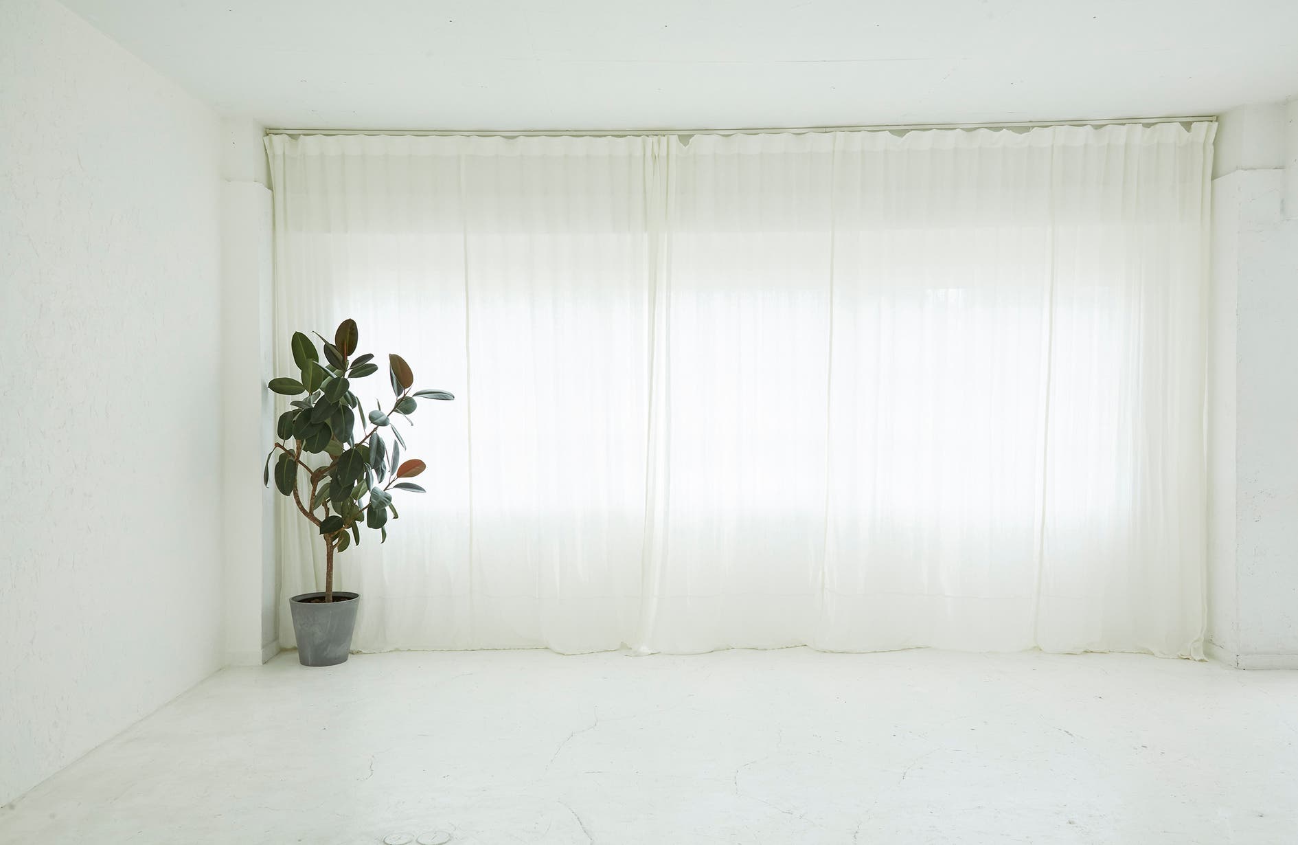 【 外苑前駅 徒歩1分 ! 】自然光あふれるシンプルモダンなスペース FIVE STUDIOの写真3