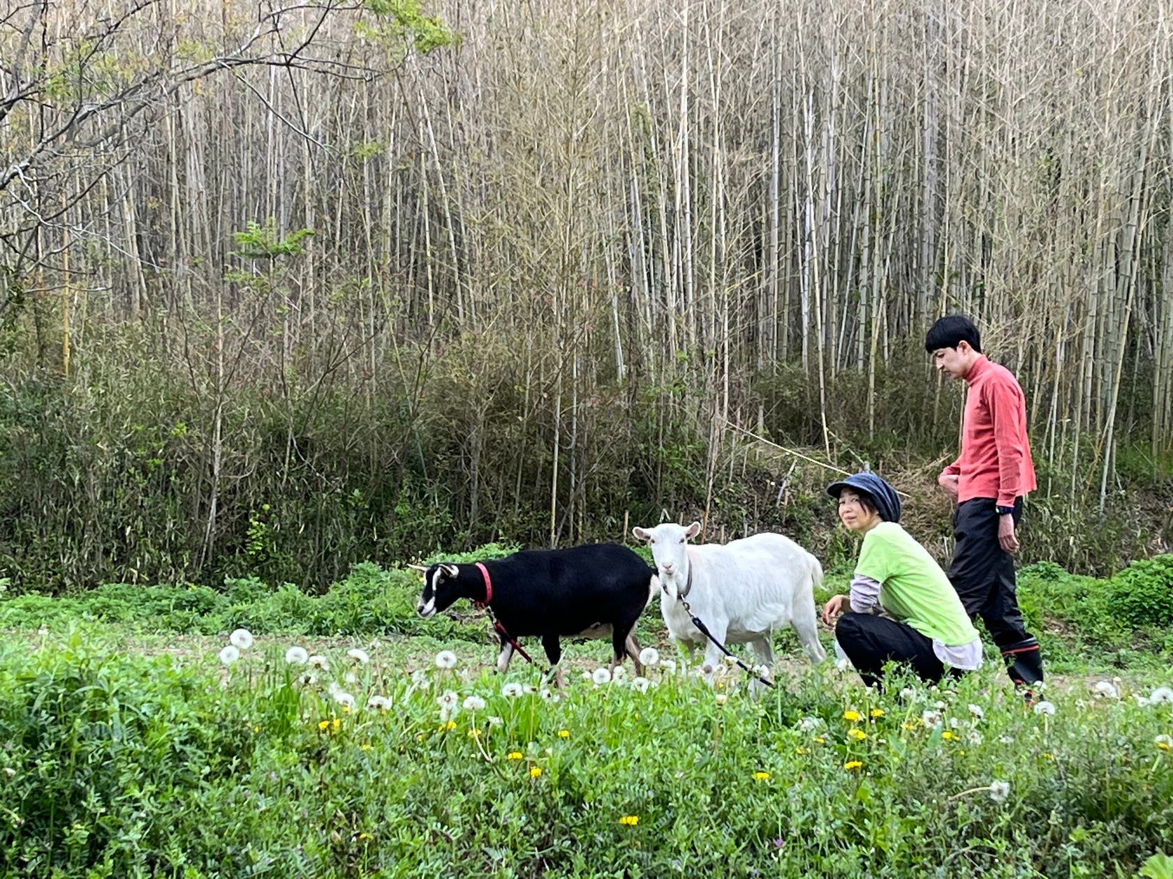 里山の麓の隠れ家的古民家の写真8