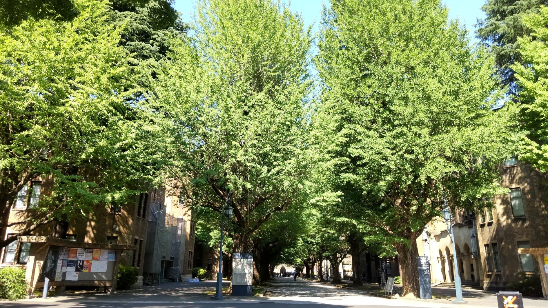 都心にある伝統的旅館　１棟　貸し切り　の写真17