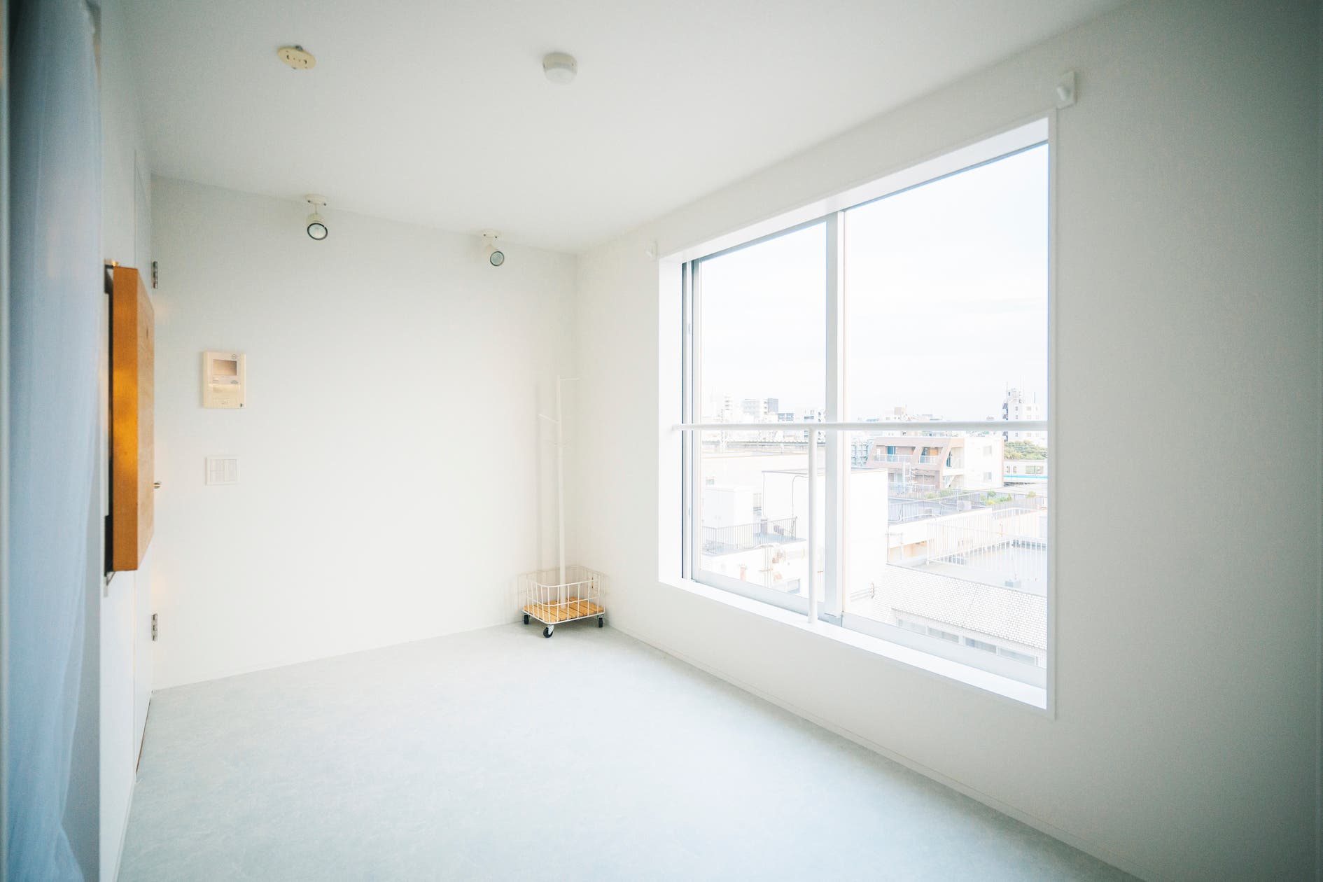 JR高円寺駅徒歩2分✳︎自然光と植物の撮影スタジオの写真4