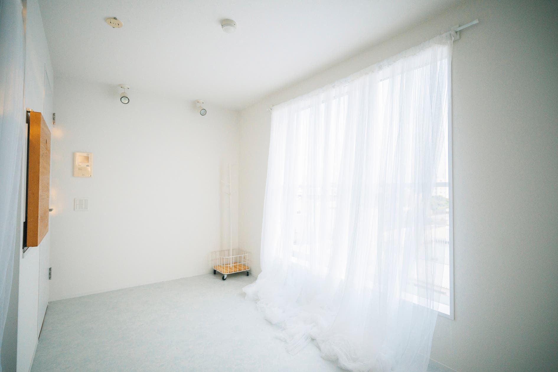 JR高円寺駅徒歩2分✳︎自然光と植物の撮影スタジオの写真5