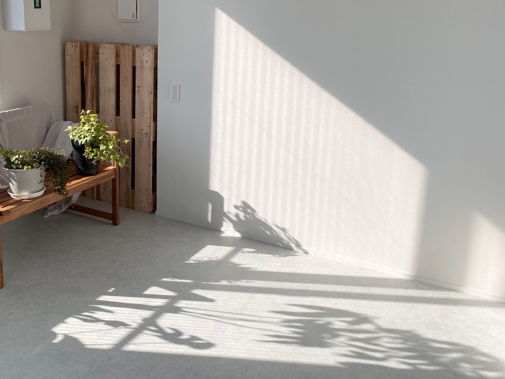 JR高円寺駅徒歩2分✳︎自然光と植物の撮影スタジオの写真6