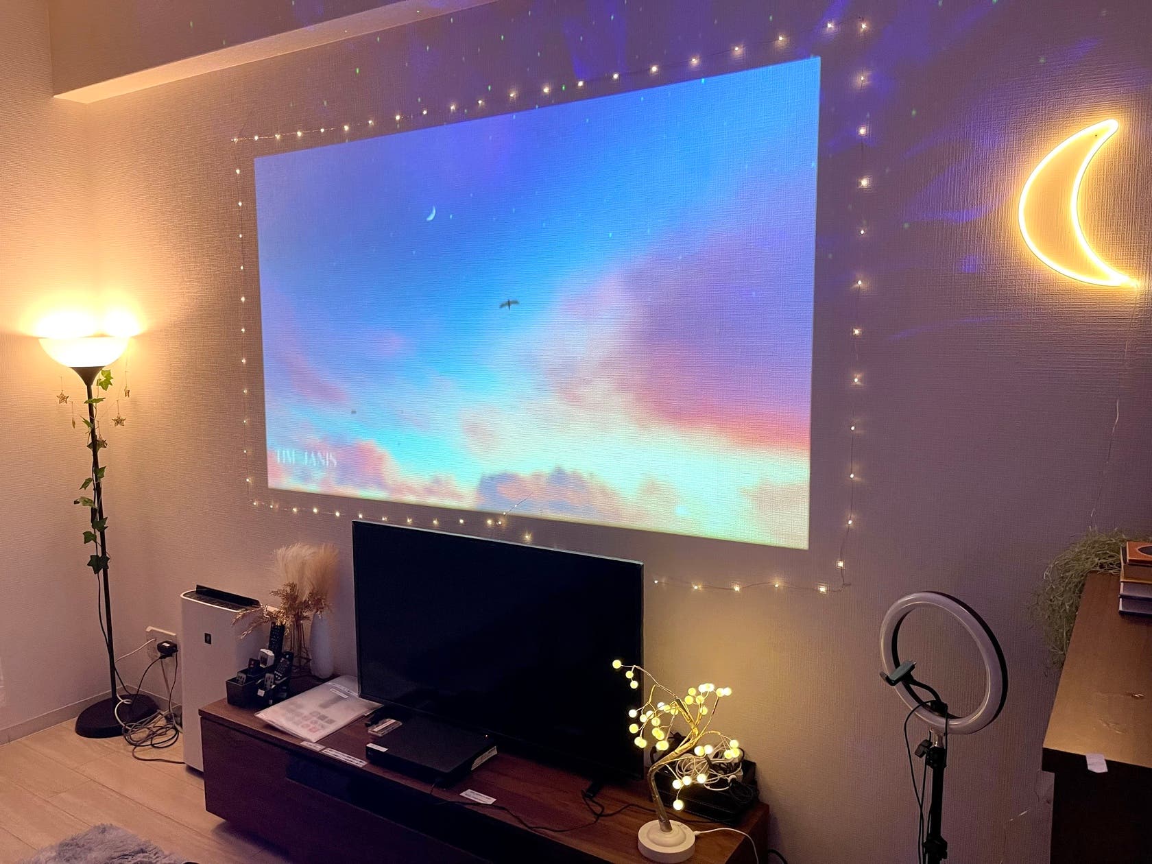 貸切映画館🍿【難波駅6分】大画面プロジェクター🍹誕生日🎁二人っきりデート❤️ごろごろ🛋️ボドゲ🎲プラネタリウム💫女子会の写真13