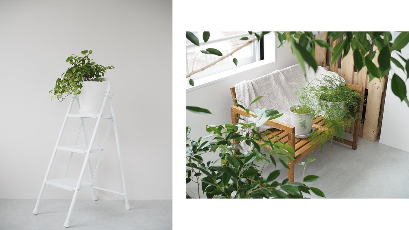 JR高円寺駅徒歩2分✳︎自然光と植物の撮影スタジオの写真7