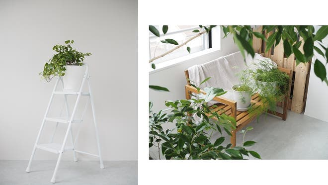 JR高円寺駅徒歩2分✳︎自然光と植物の撮影スタジオの写真7