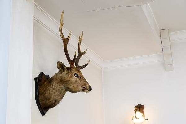 文京区千駄木　外観撮影もできる本格的洋館スタジオの写真23