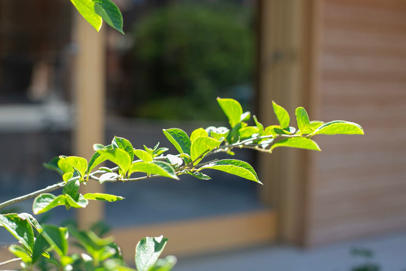 お料理教室や個展etc...使い方色々♪伊勢のシェアキッチンスペースの写真5