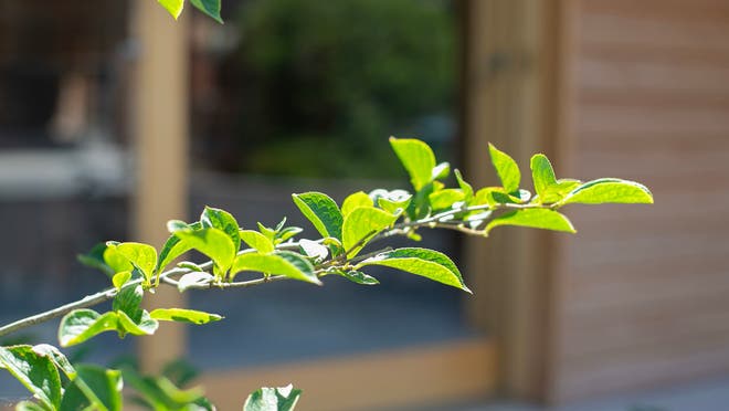 お料理教室や個展etc...使い方色々♪伊勢のシェアキッチンスペースの写真5