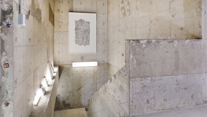 vase-Roof top 色々な表現・表情を 色々なスタイルでの写真13