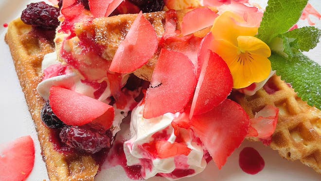 【飲食持ち込み可!】森の部屋 高速WIFI 多目的 撮影にも クッションフロアーで広々空間 テーブル椅子席(座卓:応相談)の写真10