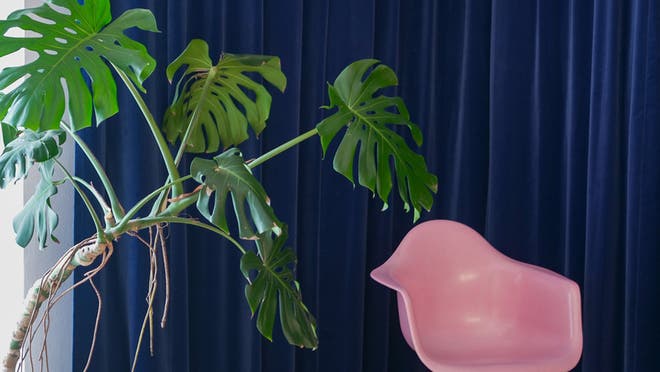 101studioは、アンティーク感のあるおしゃれなレトロマンションをイメージするスタジオです。の写真8