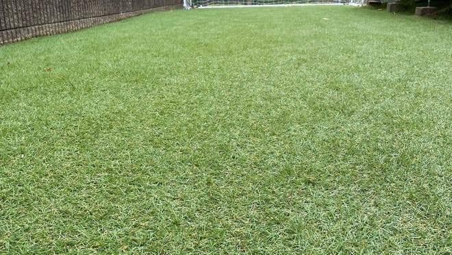 3×15mのプライベート人工芝スペースの写真3