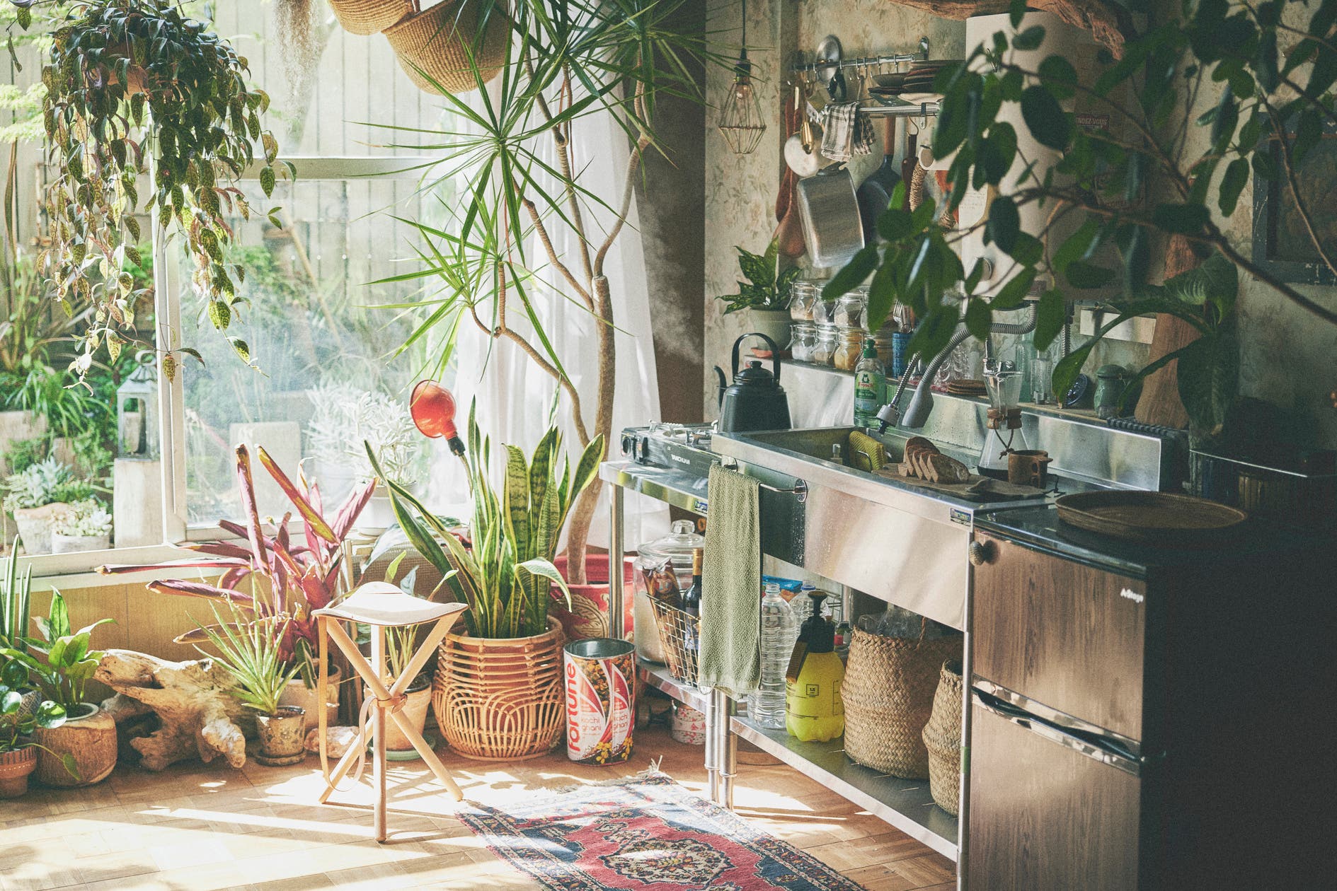 【三軒茶屋駅徒歩2分】CM、MV、商品撮影に。生活感とフォトジェニックを兼ね備えた、都会の小さな山小屋風スタジオの写真8