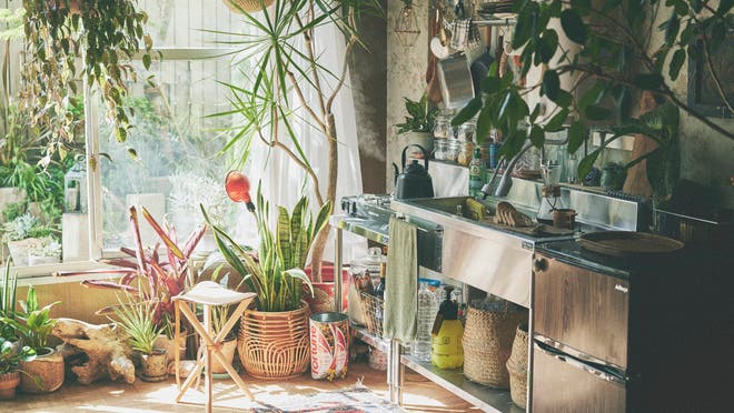 【三軒茶屋駅徒歩2分】CM、MV、商品撮影に。生活感とフォトジェニックを兼ね備えた、都会の小さな山小屋風スタジオの写真8