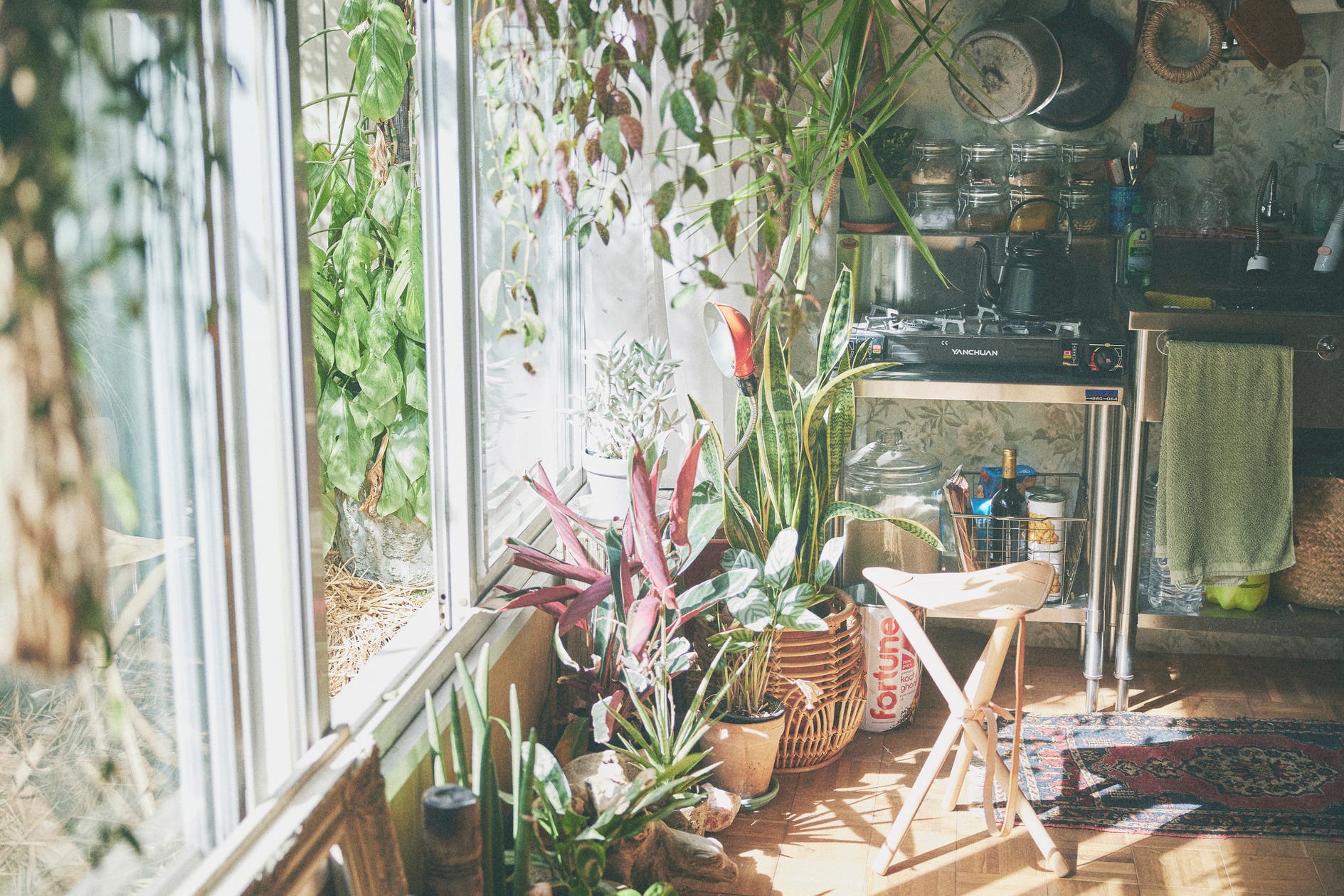 【三軒茶屋駅徒歩2分】CM、MV、商品撮影に。生活感とフォトジェニックを兼ね備えた、都会の小さな山小屋風スタジオの写真9