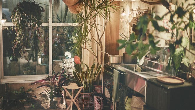 【三軒茶屋駅徒歩2分】CM、MV、商品撮影に。生活感とフォトジェニックを兼ね備えた、都会の小さな山小屋風スタジオの写真23