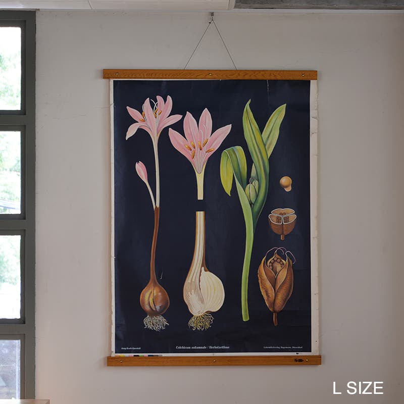 PSF製ピクチャーフレームの画像2