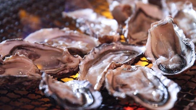 ビル最上階、中庭のあるレストラン。撮影やセミナー、会議、講演会、マルシェ、演奏会等に。中庭も完備。の写真12