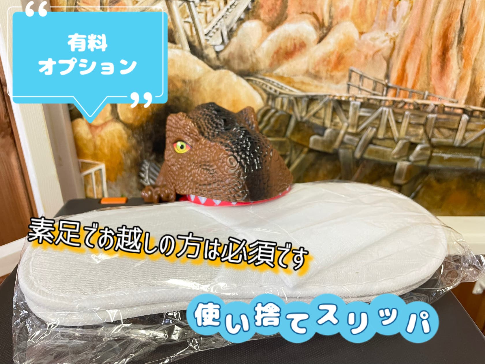 使い捨てスリッパ（22-25センチ）の画像1