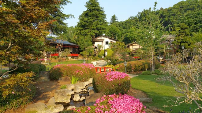 つくば 舘山城 / さつきの間 (つくば 貸切 スペース)の写真2