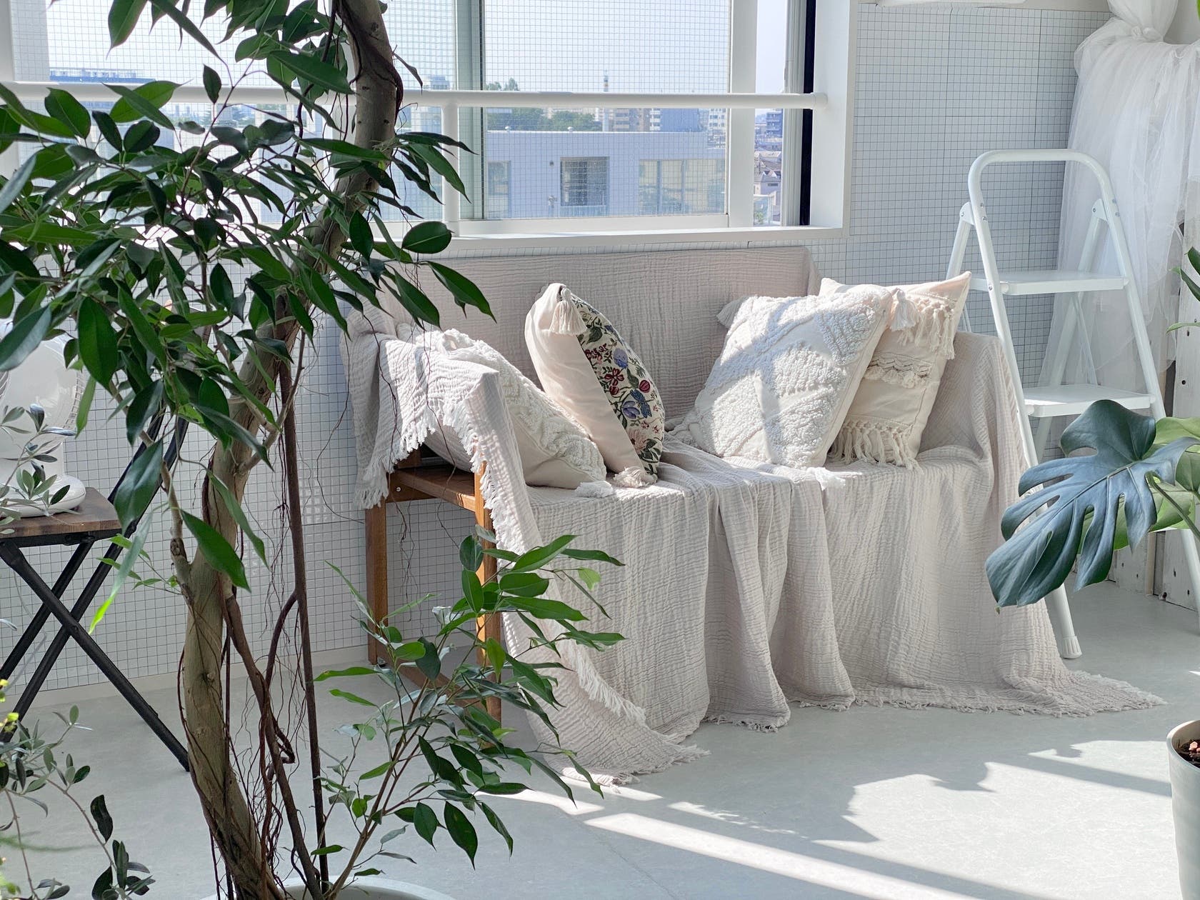 JR高円寺駅徒歩2分✳︎自然光と植物の撮影スタジオの写真8