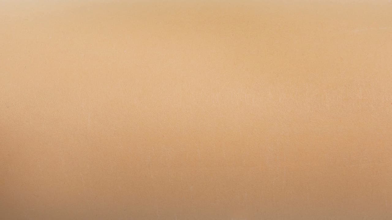 白ホリゾント 自然光本格的写真スタジオ　撮影機材込 六本木駅６番出口徒歩1分の写真20