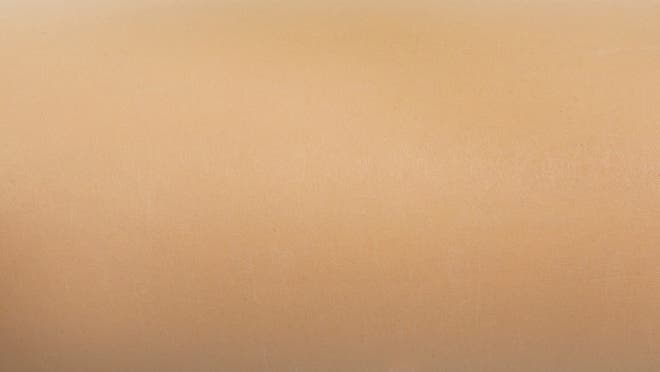 白ホリゾント 自然光本格的写真スタジオ 撮影機材込 六本木駅6番出口徒歩1分の写真20