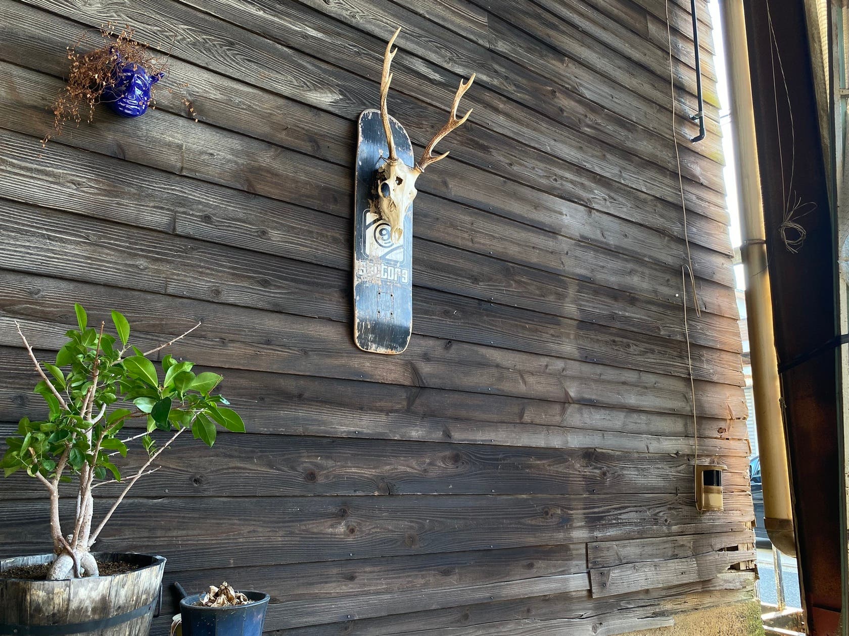 中央部使用オプションの画像3