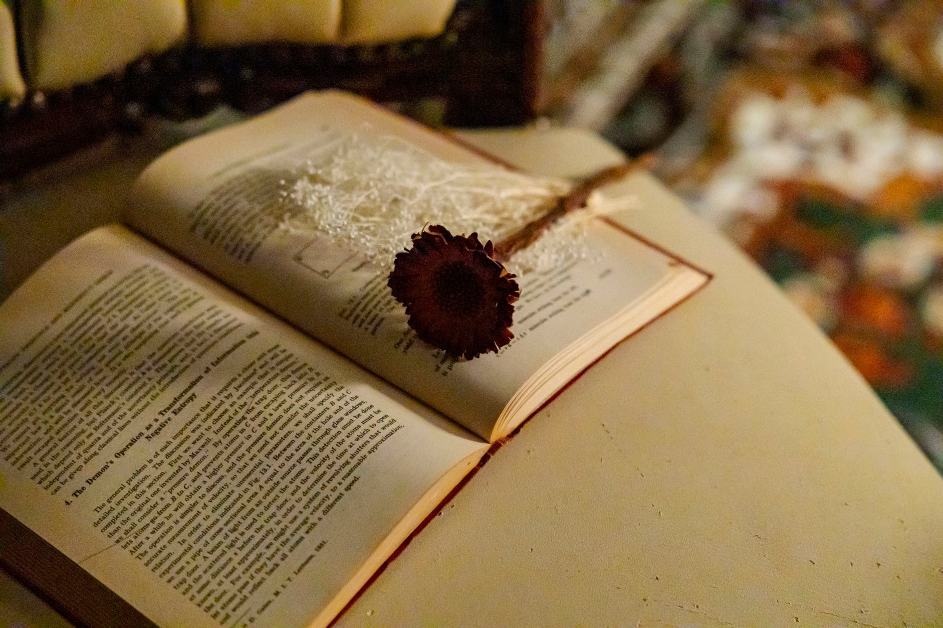 1組貸切型フォトスタジオ【アンティークス名古屋北店】ポートレート/コスプレ/パーティ/本人不在の誕生日会/商用利用可の写真25