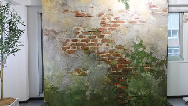 【東銀座駅1分】大型L字漆喰壁、対談動画配信、商品・動画撮影、ウェディング、家族、マタニティ、自然光3面、背景5、移動式パネルの写真18